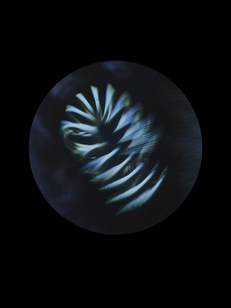 Beyond Drifting: Mandy Barker’s beguiling study of plastic pollution in ...