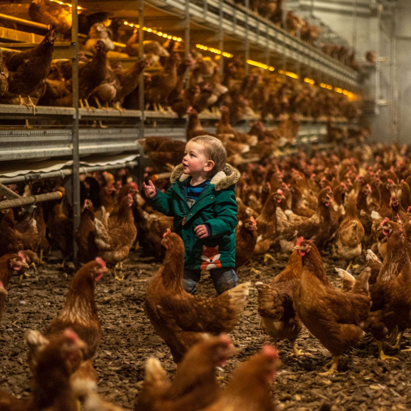 Joanne Coates explores gender inequality in the farming industry - 1854 ...