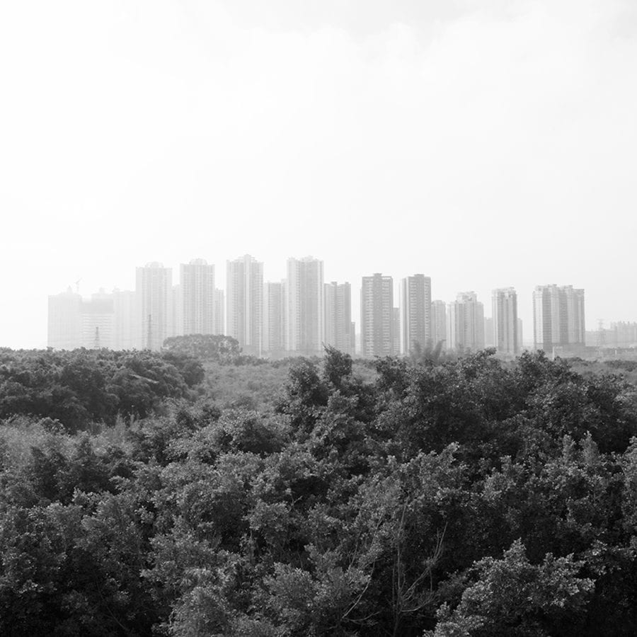 An unexpected bird sanctuary is the focus of Robert Zhao Renhui’s ...