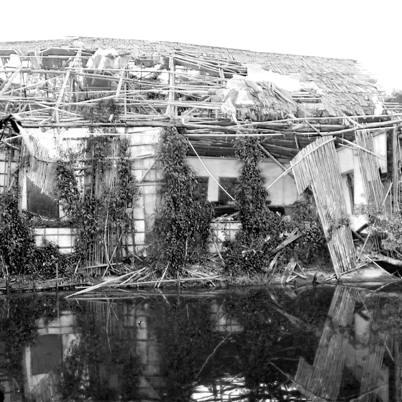 An unexpected bird sanctuary is the focus of Robert Zhao Renhui’s ...