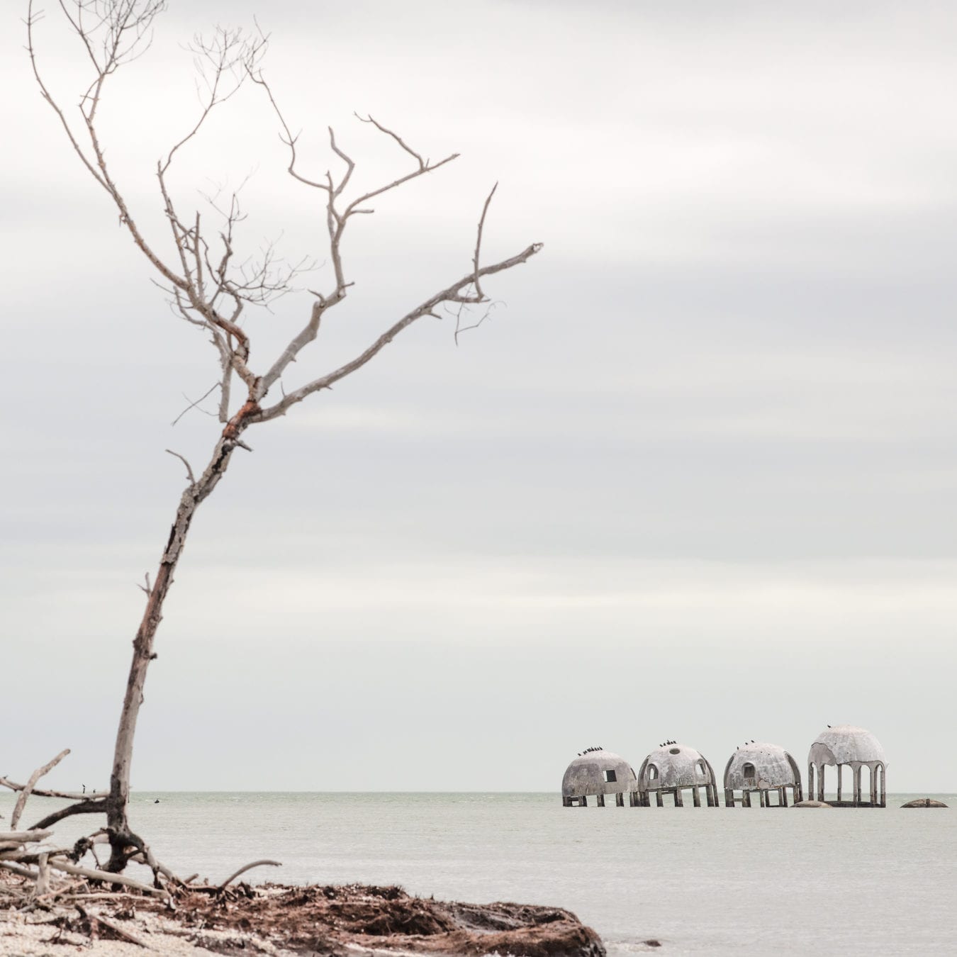 Picture This: Habitat - British Journal of Photography