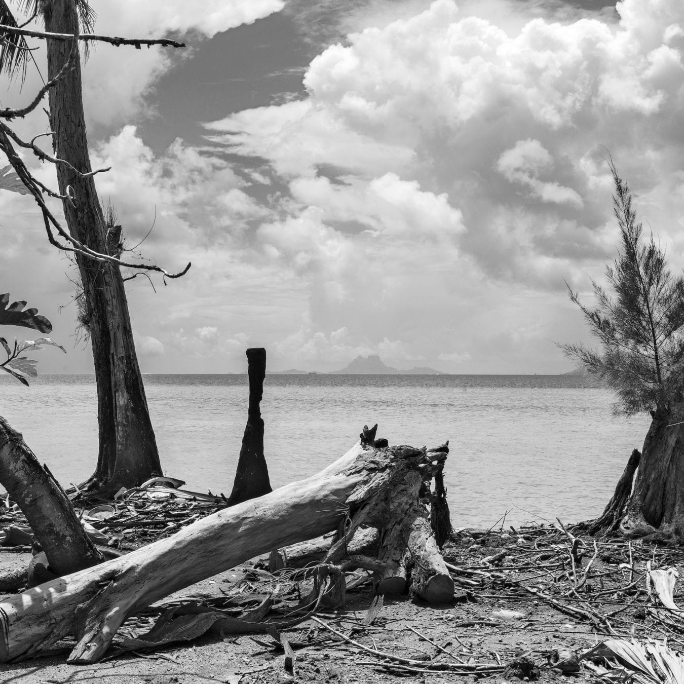 Picture This: Habitat - British Journal of Photography