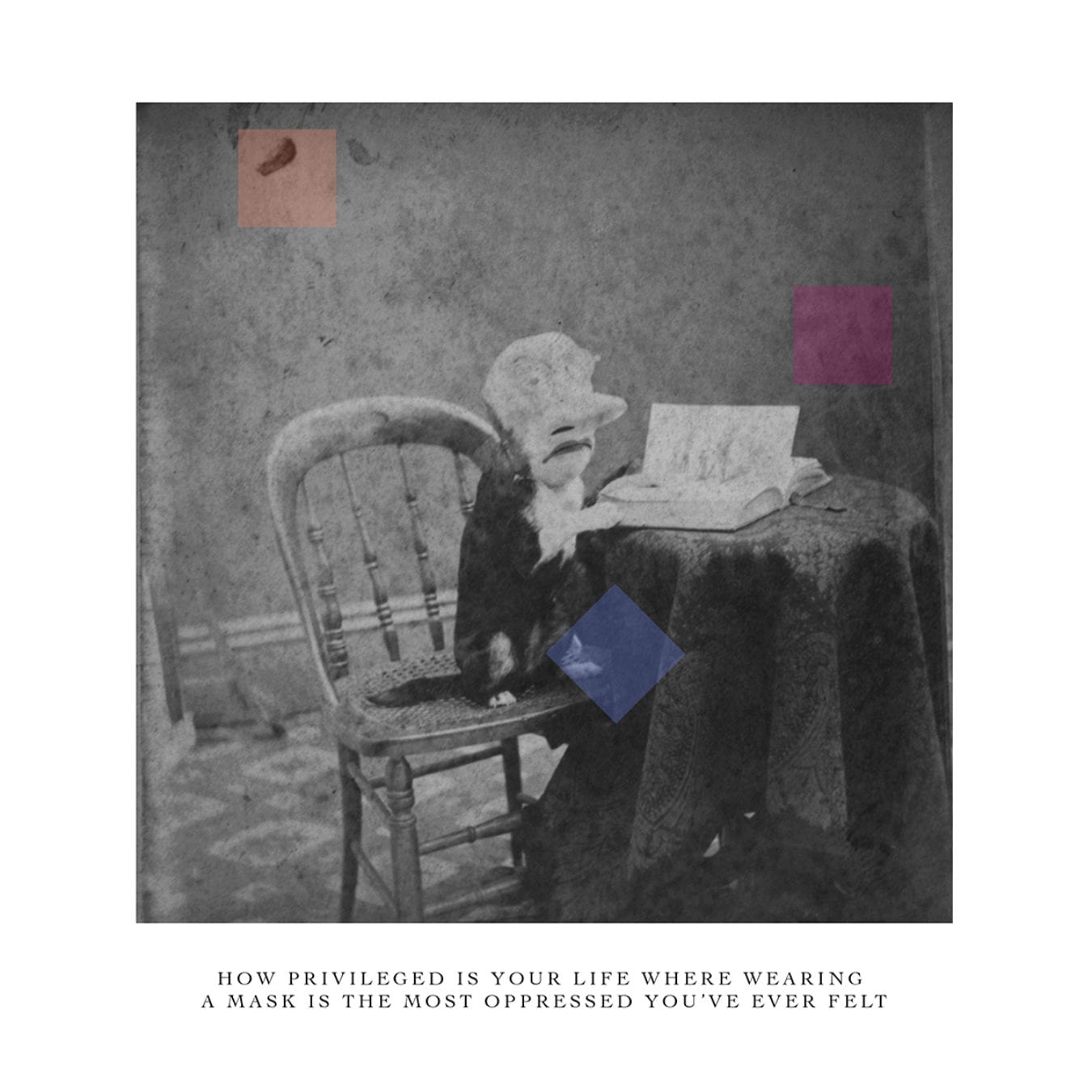 Bindi Vora studies the language of 2020, selecting characteristic ...