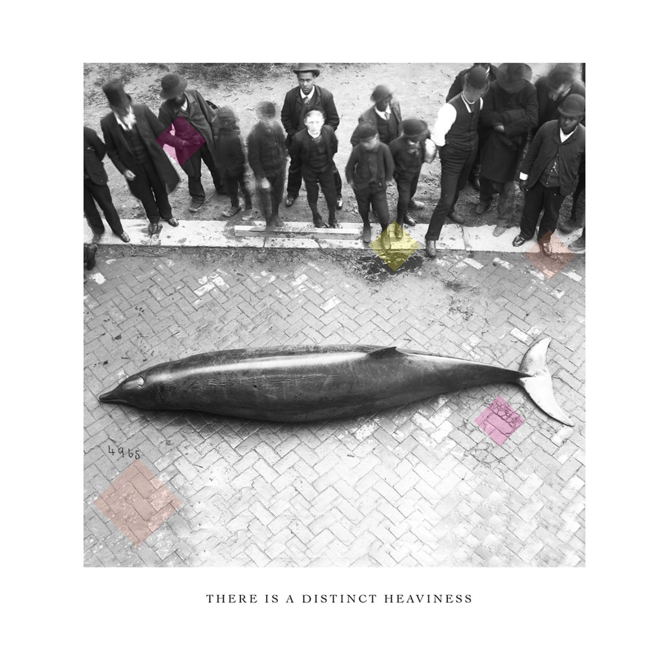 Bindi Vora studies the language of 2020, selecting characteristic ...