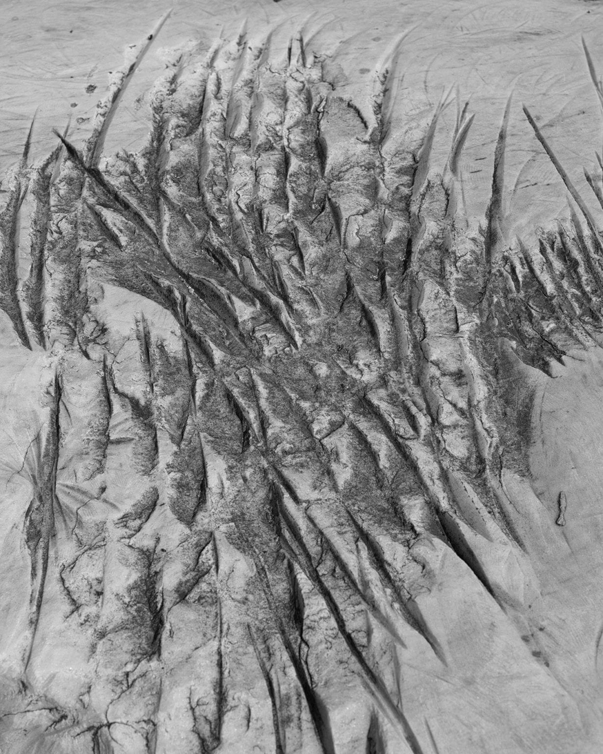 As the radical far-right in Germany gathers support, Jörg Colberg warns ...