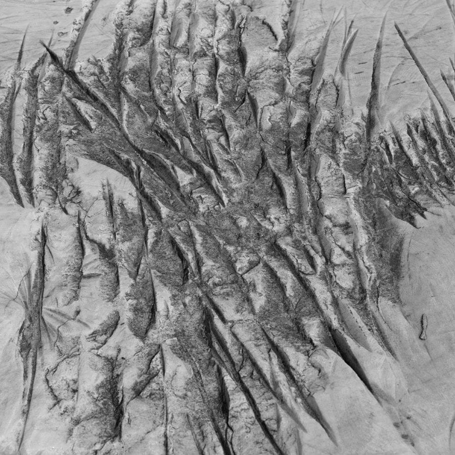 As the radical far-right in Germany gathers support, Jörg Colberg warns ...