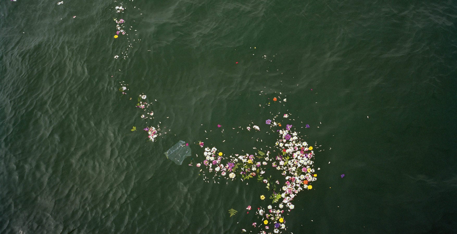 Chloe Dewe Mathews discovers a richness of life along the River Thames