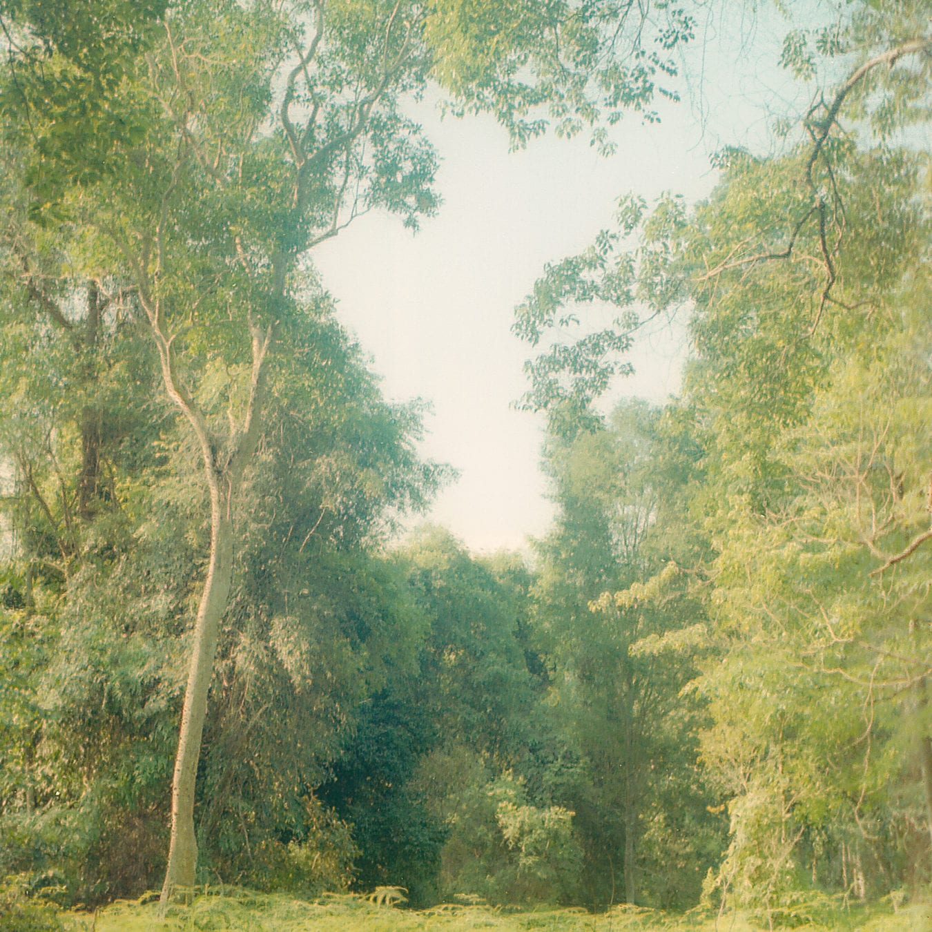 Picture This: Genesis - 1854 Photography