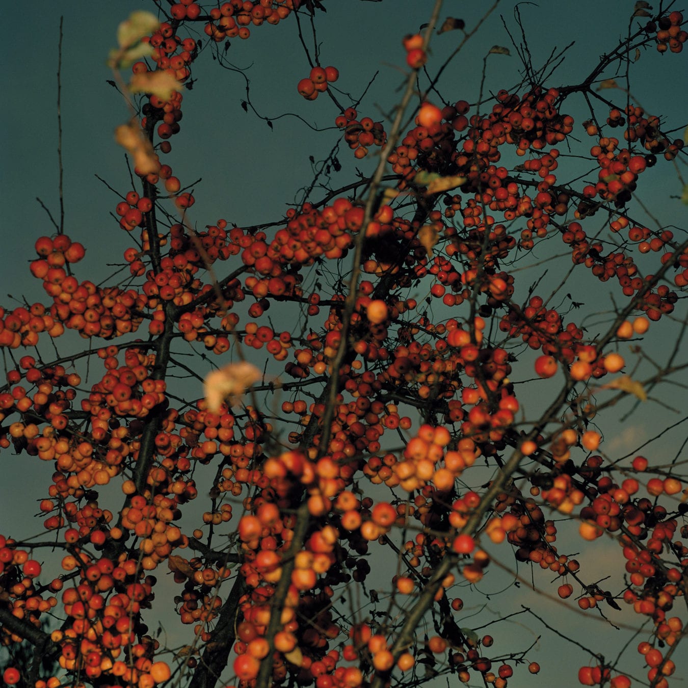 From Spring to Autumn, Chris Hoare documents life on Bristol's ...