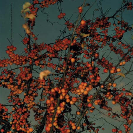 From Spring to Autumn, Chris Hoare documents life on Bristol's ...