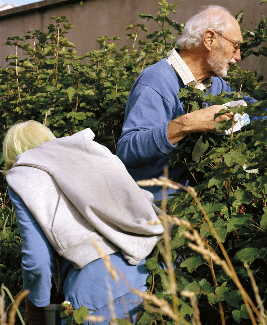 From Spring to Autumn, Chris Hoare documents life on Bristol's ...