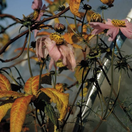 From Spring to Autumn, Chris Hoare documents life on Bristol's ...