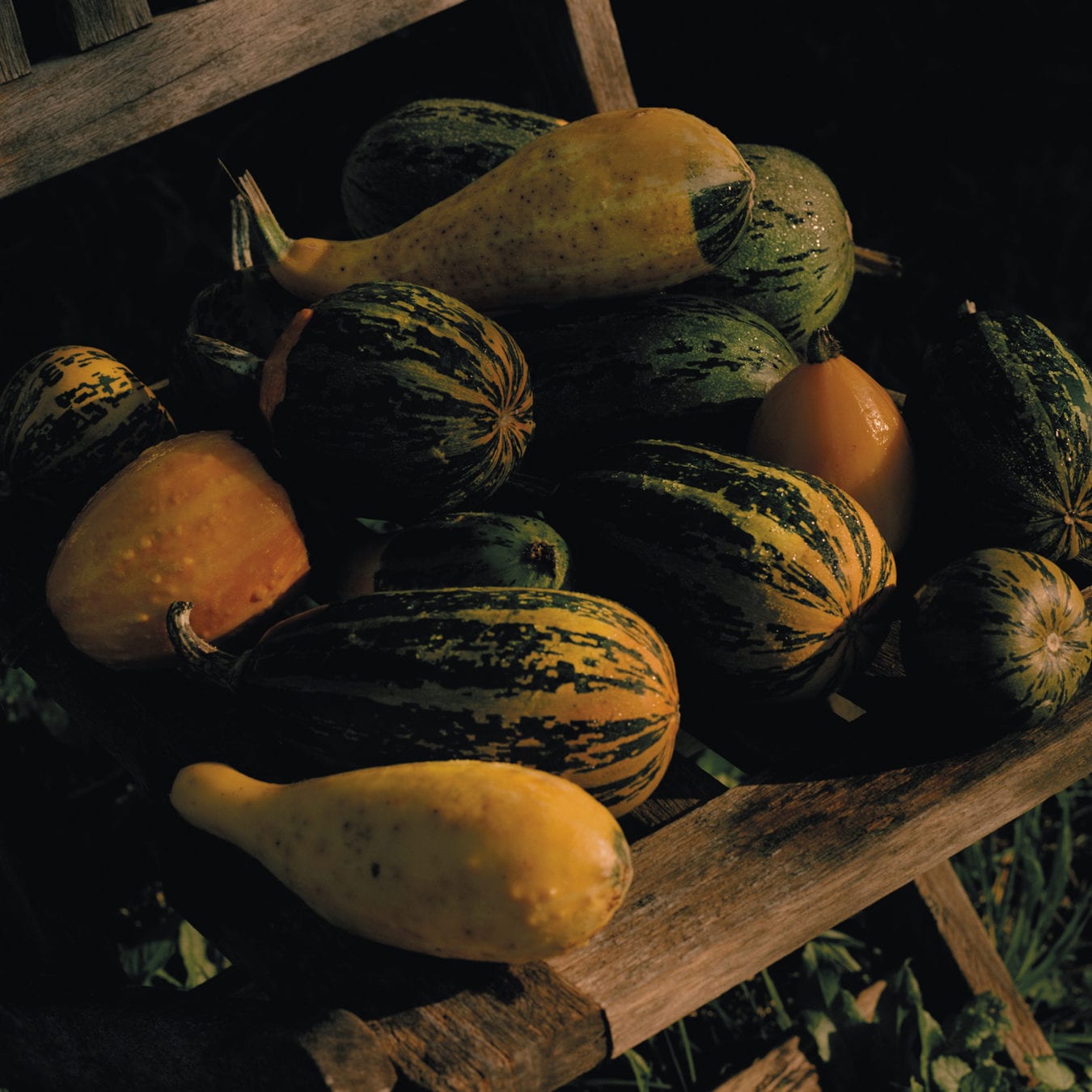 From Spring to Autumn, Chris Hoare documents life on Bristol's ...