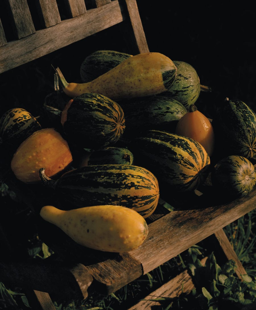 From Spring to Autumn, Chris Hoare documents life on Bristol's ...