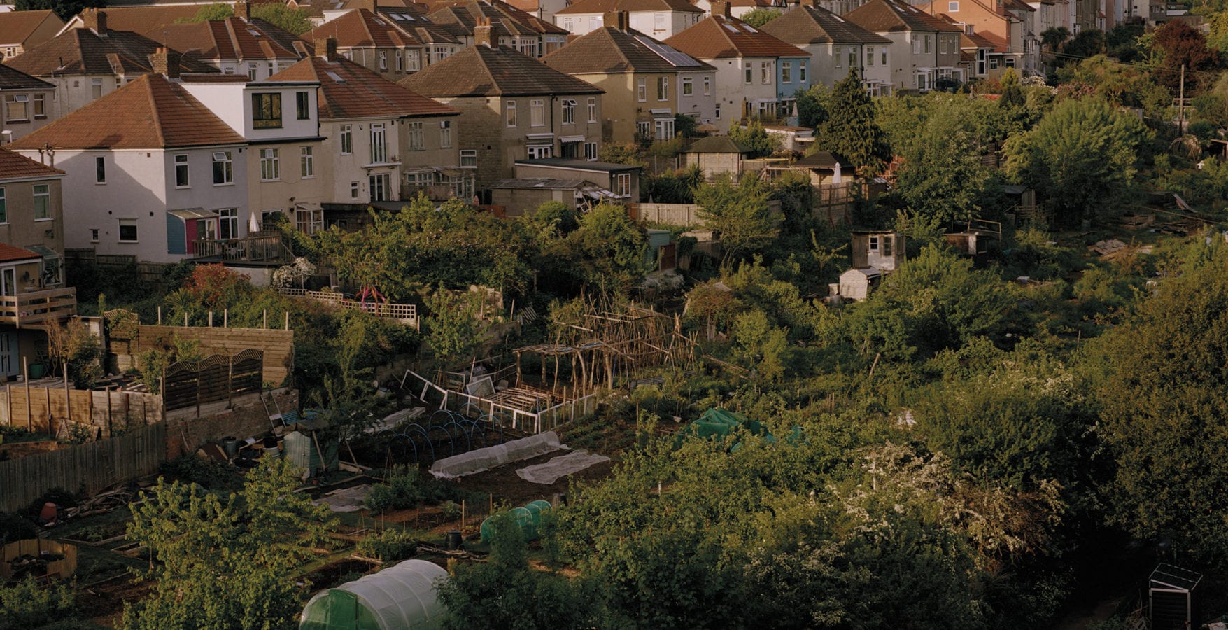 From Spring to Autumn, Chris Hoare documents life on Bristol's ...
