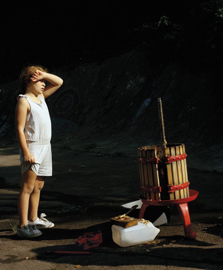 From Spring to Autumn, Chris Hoare documents life on Bristol's ...