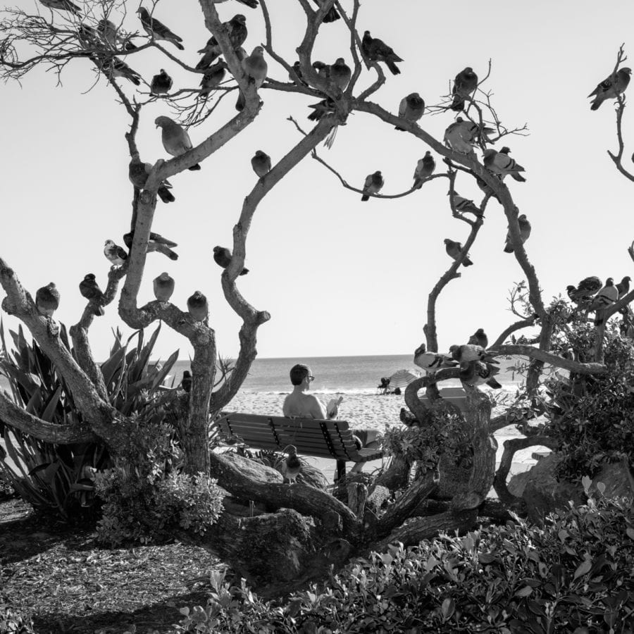 Garrett Grove’s ambiguous outlook on America’s cultural tensions - 1854 ...