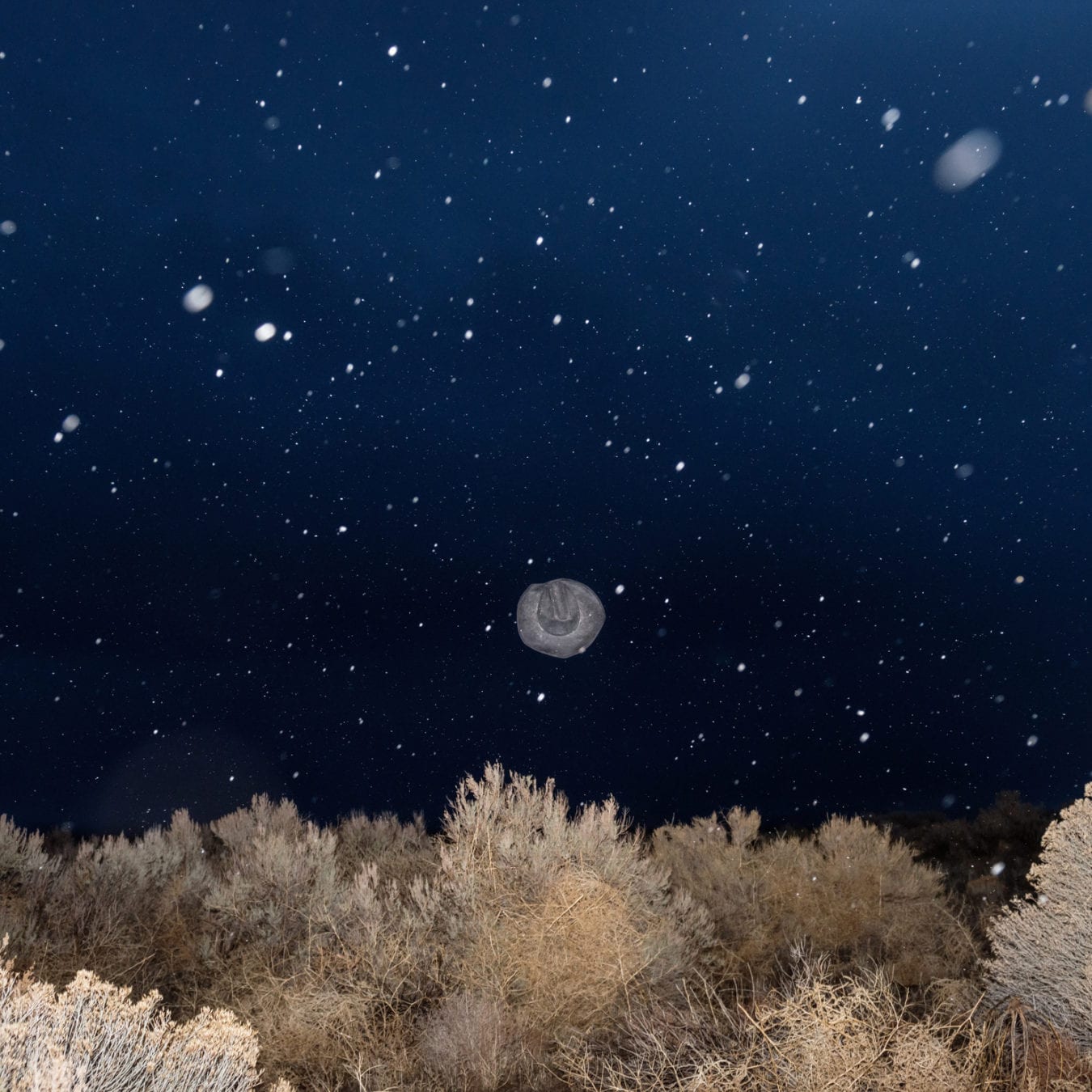 Garrett Grove’s ambiguous outlook on America’s cultural tensions - 1854 ...