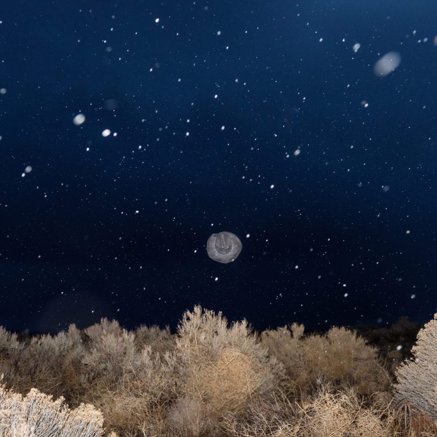 Garrett Grove’s ambiguous outlook on America’s cultural tensions - 1854 ...