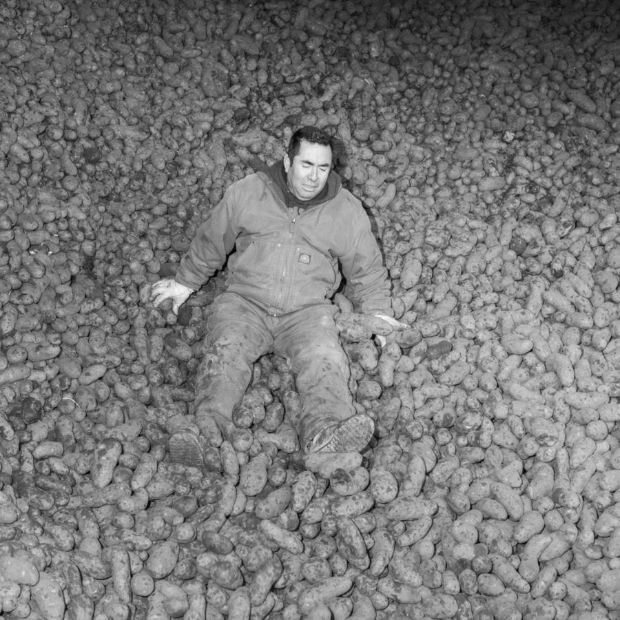 Garrett Grove’s ambiguous outlook on America’s cultural tensions - 1854 ...