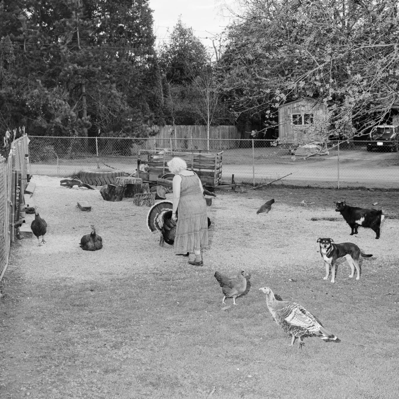 “America is at a breaking point right now and everybody feels it ...