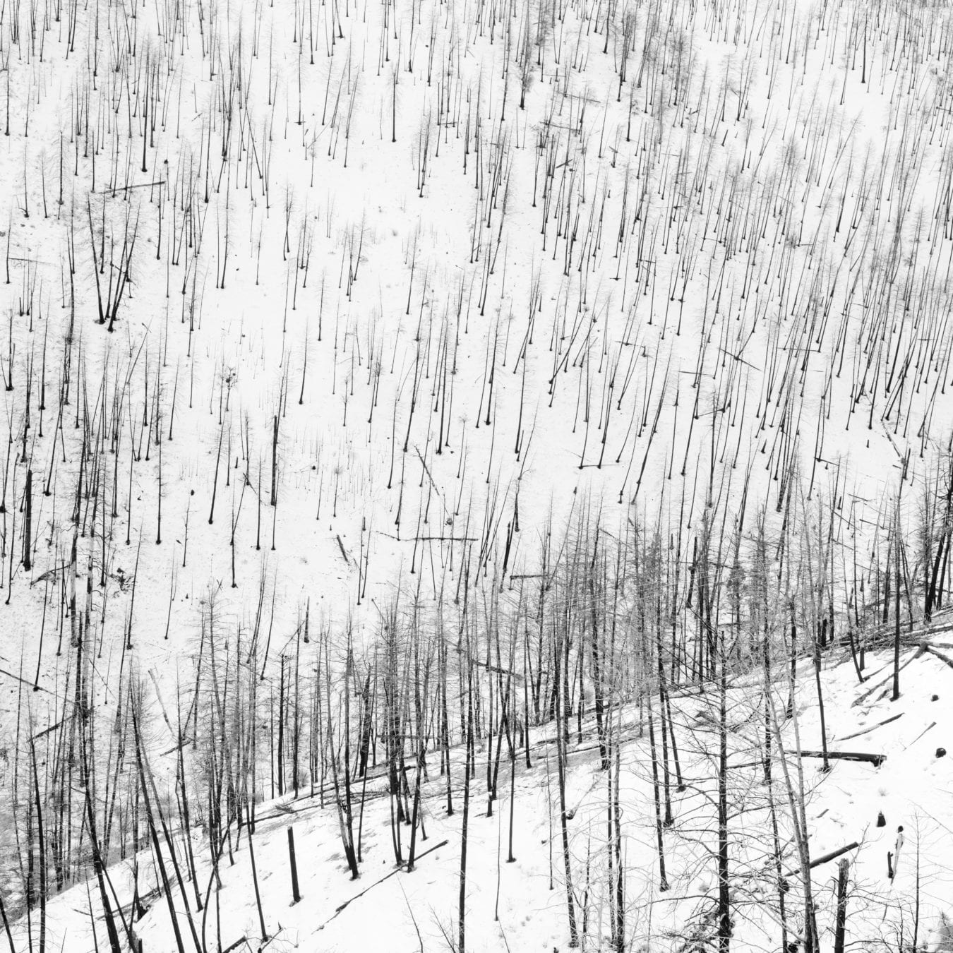 “America is at a breaking point right now and everybody feels it ...