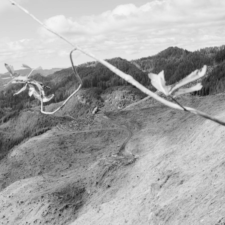 “America is at a breaking point right now and everybody feels it ...