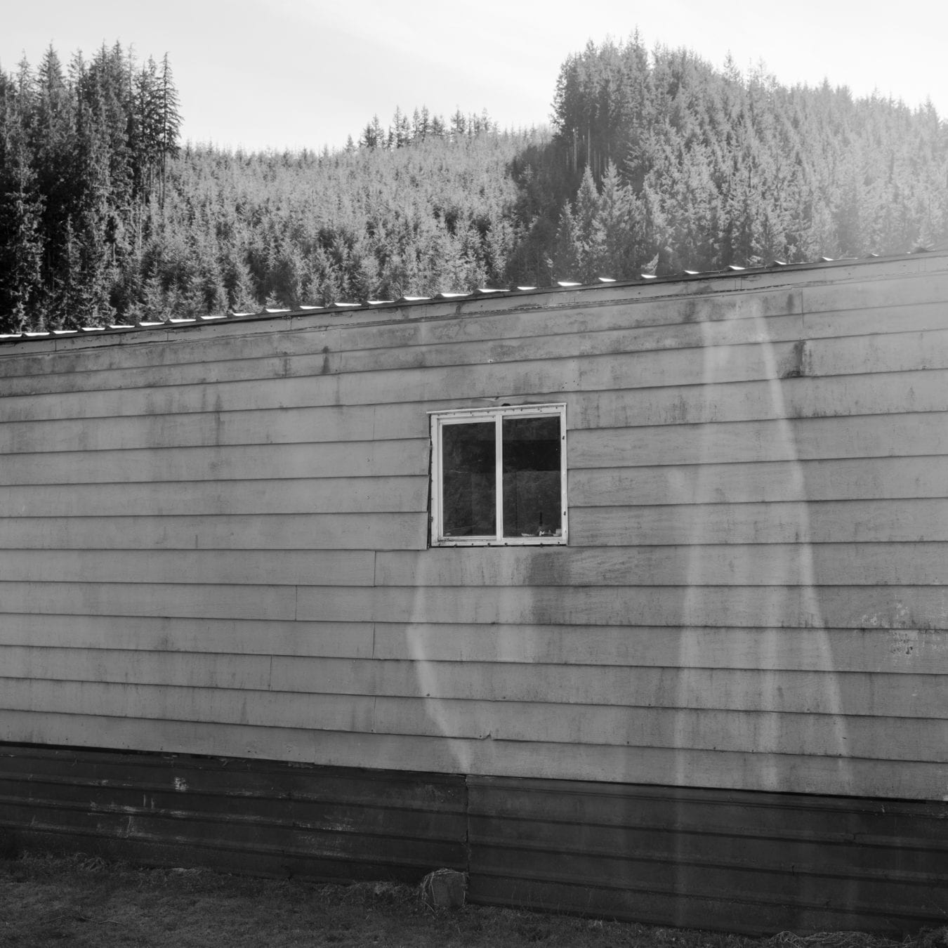 “America is at a breaking point right now and everybody feels it ...