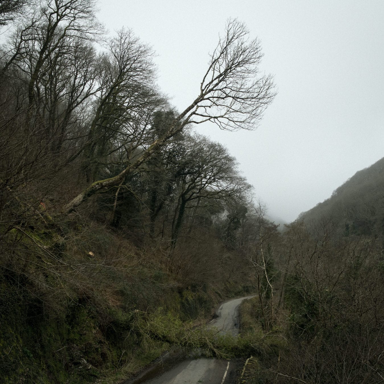 Picture This: Agency - 1854 Photography