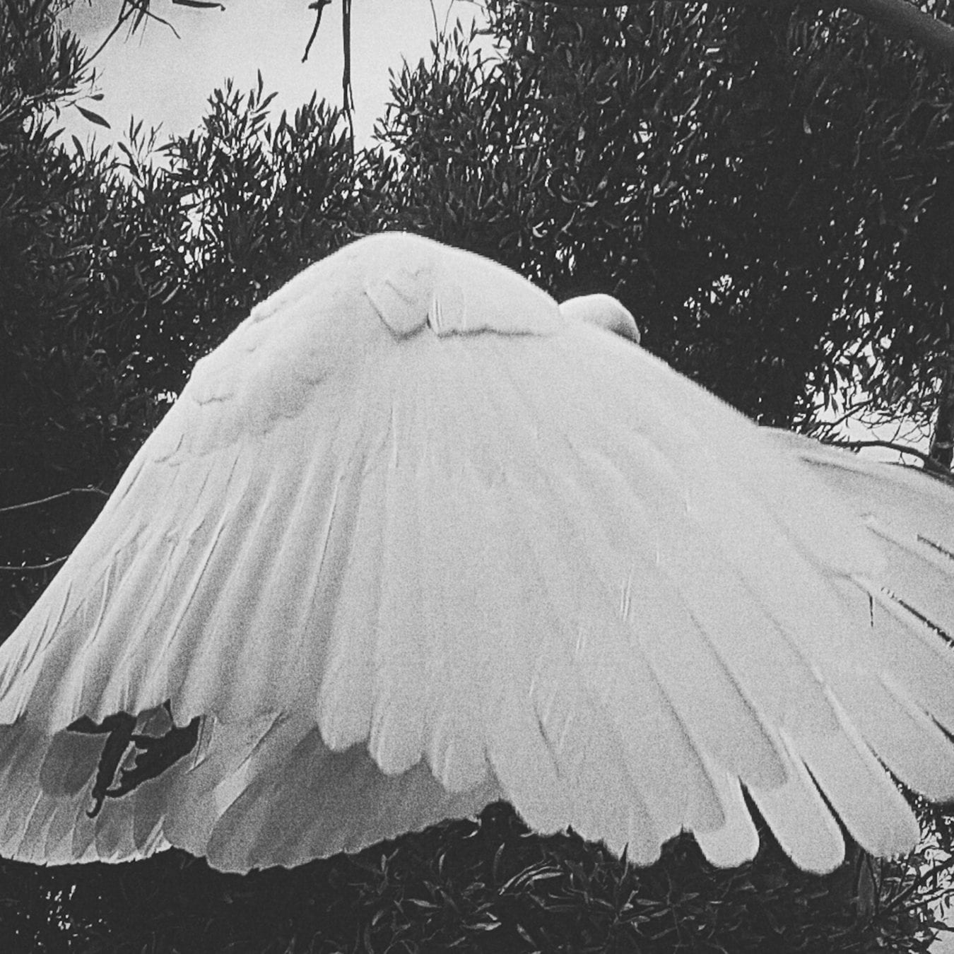 Ying Ang depicts her all-consuming transformation into motherhood ...