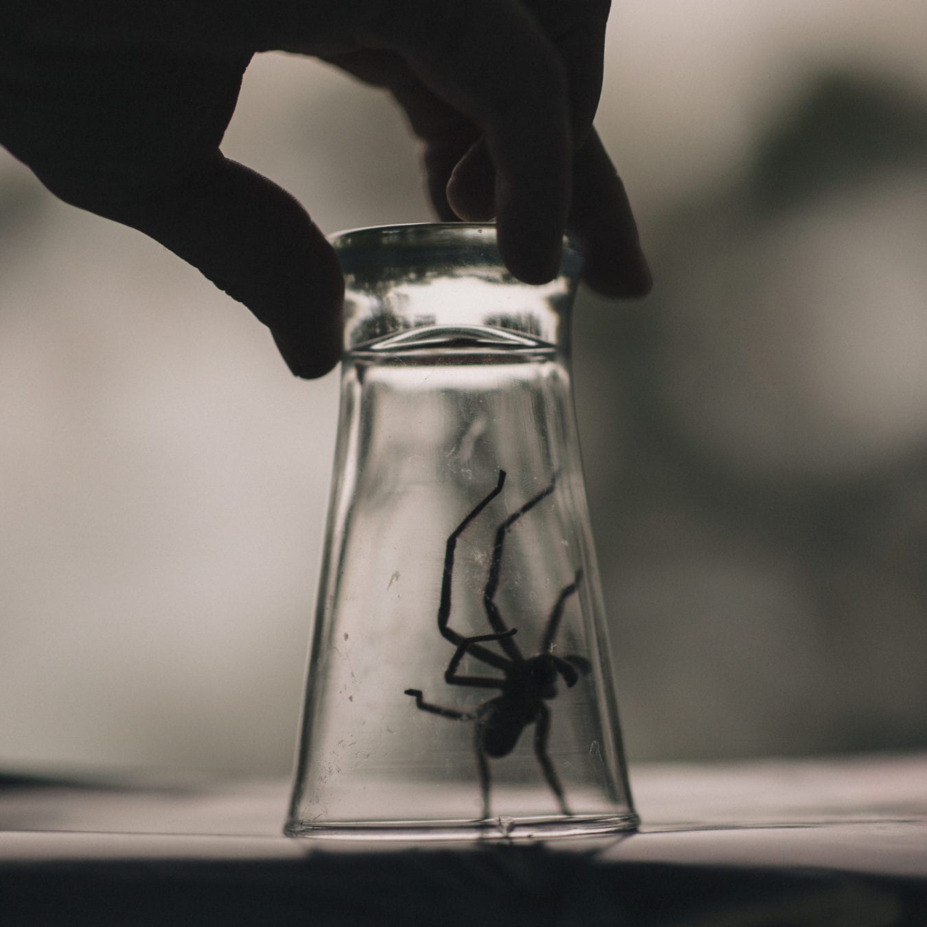 Ying Ang depicts her all-consuming transformation into motherhood ...