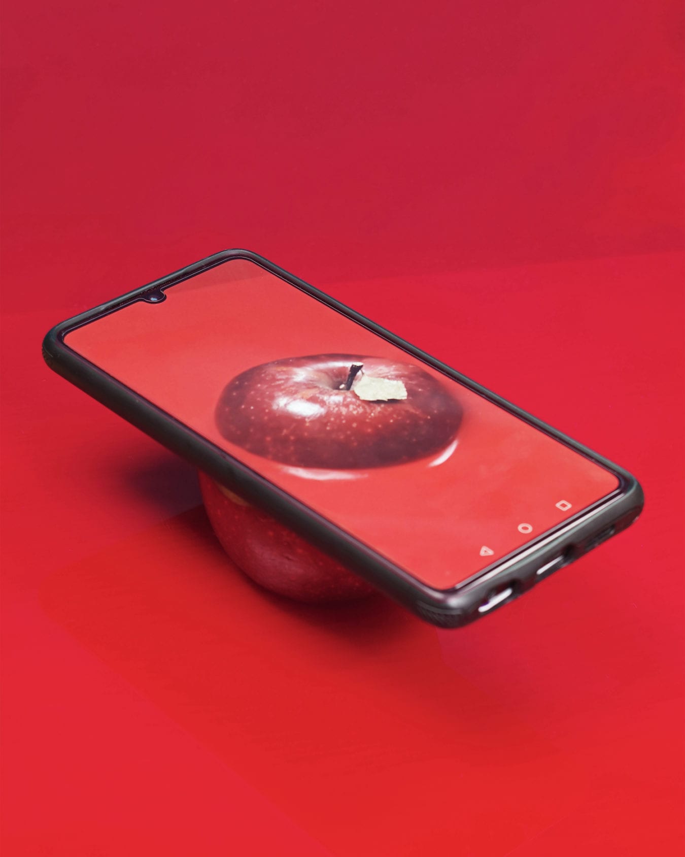 Apples taste blue to me: Harry Flook challenges our intuitive ...