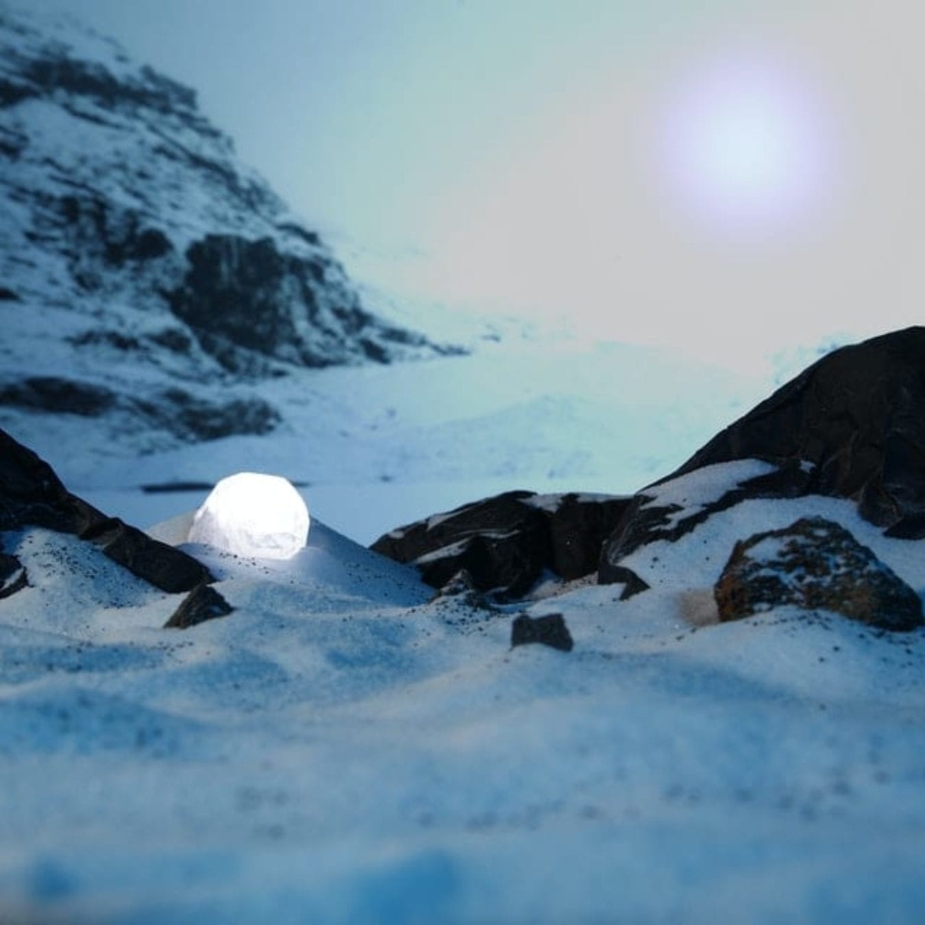 “As humans, we must strive to survive”: Timely stories of strength and ...