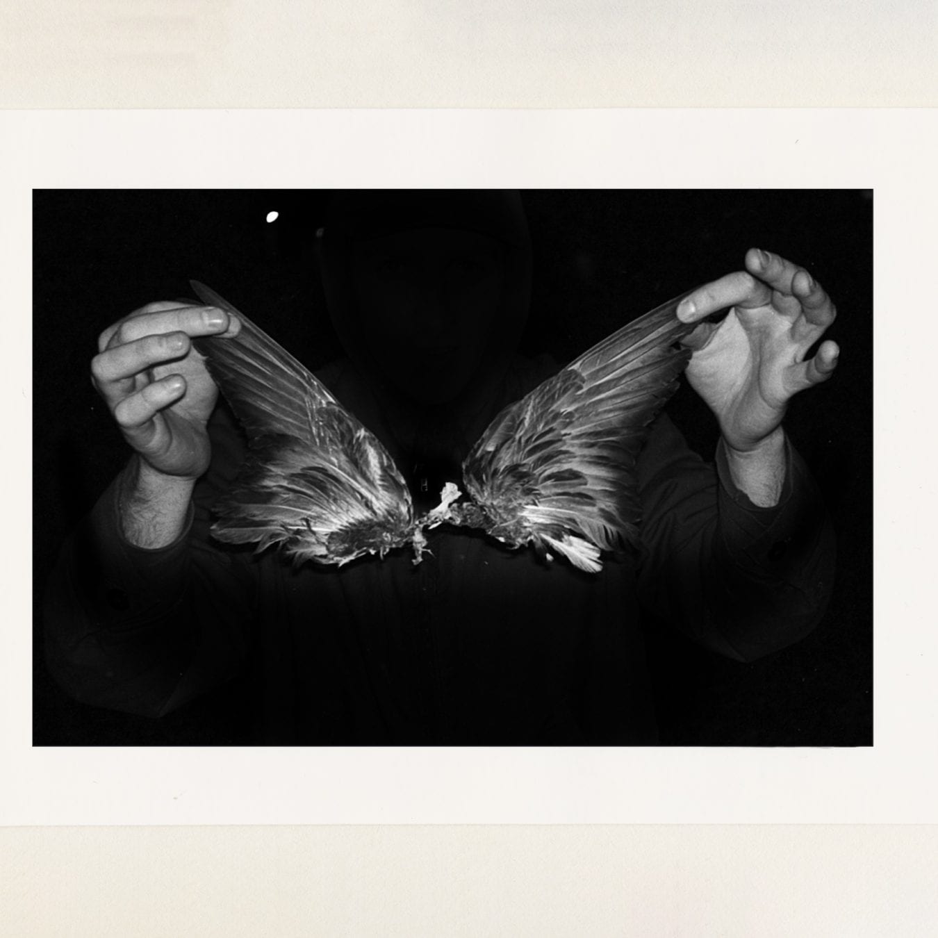 Cole Flynn Quirke memorialises the formative years of his early-20s ...