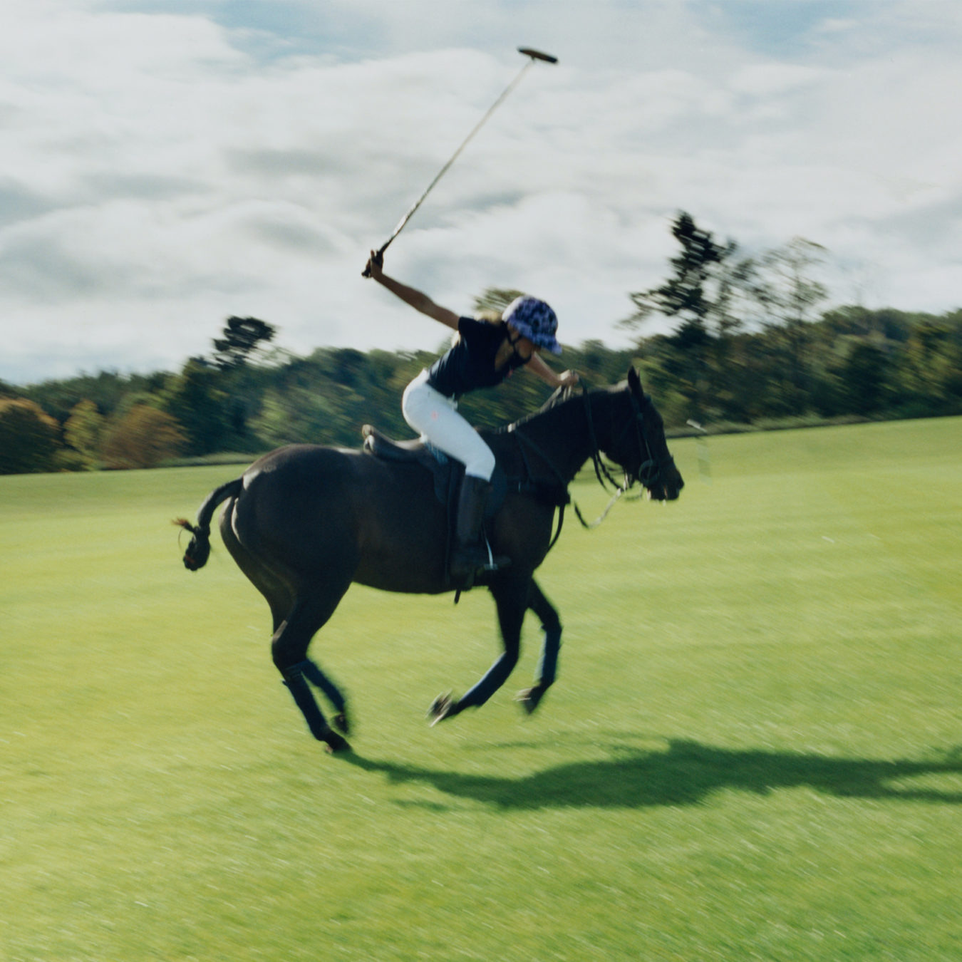 Creative Brief: Glorious' Alison Root - 1854 Photography