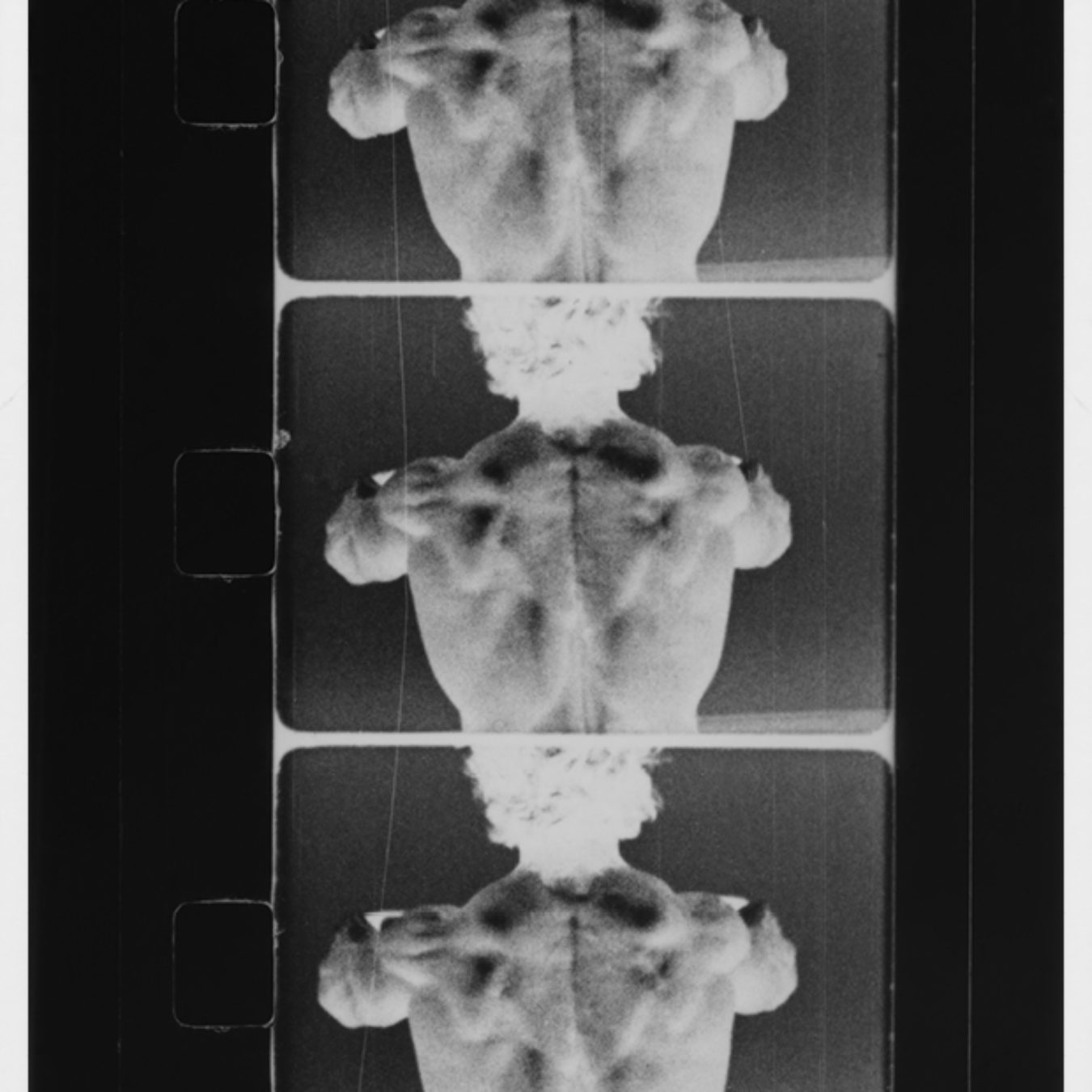 Hidden in plain sight: Davide Meneghello’s Notes on a Masculine Image ...
