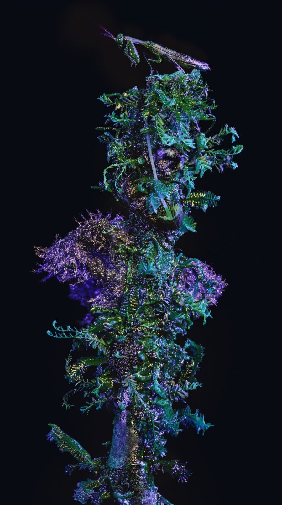 Richard Mosse: Modes of displacement