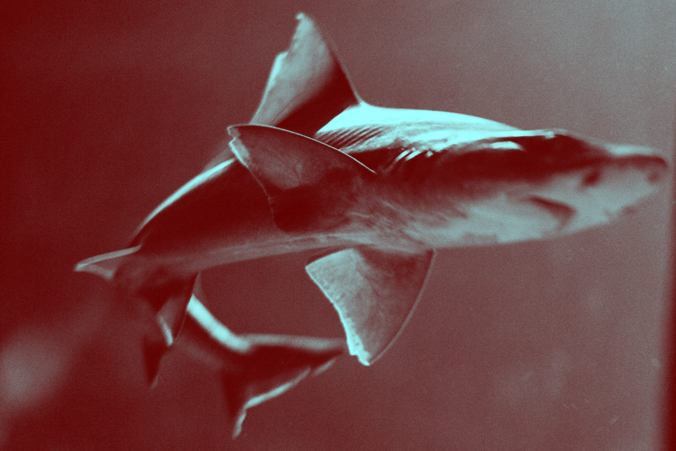 In Progress: Five photographers illustrate the shifting landscape of ...