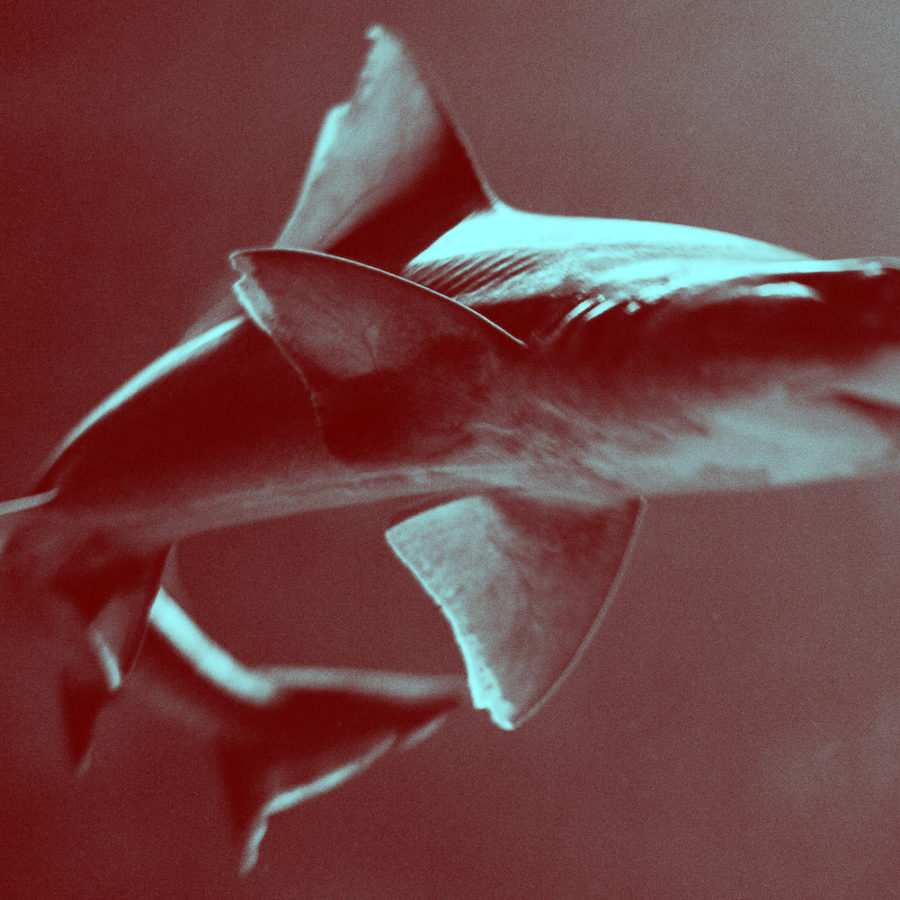 In Progress: Five photographers illustrate the shifting landscape of ...