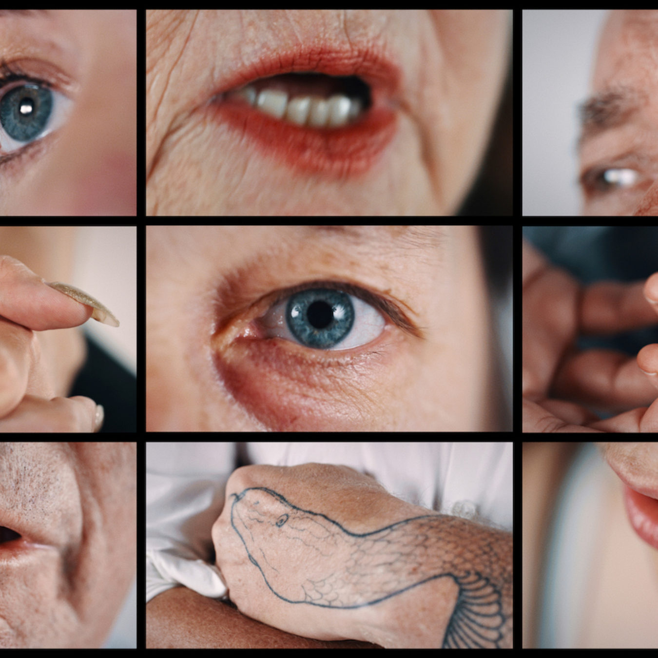 In Progress: Five photographers illustrate the shifting landscape of ...