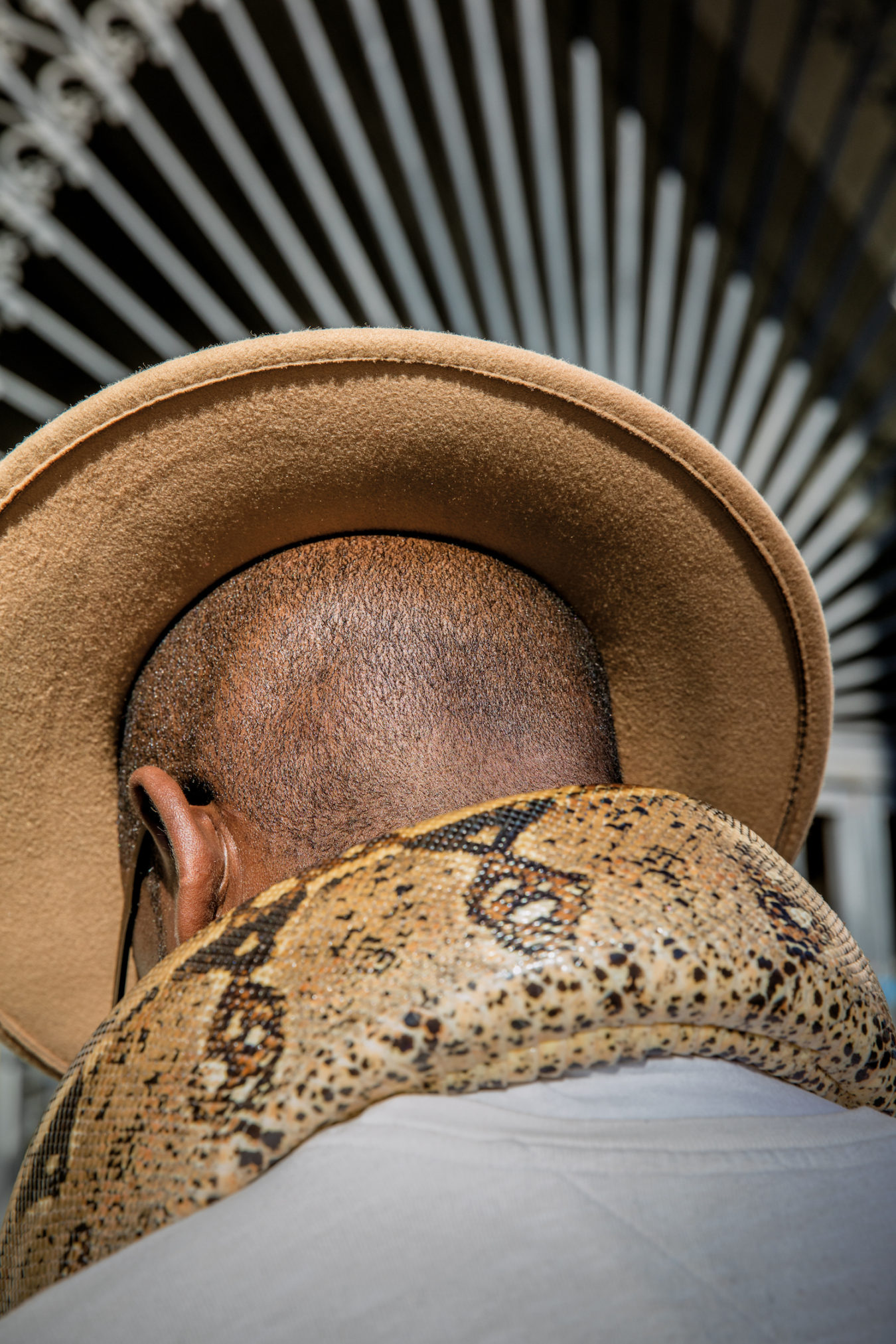 Tim Davis’ latest book is a visual poem celebrating Los Angeles - 1854 ...