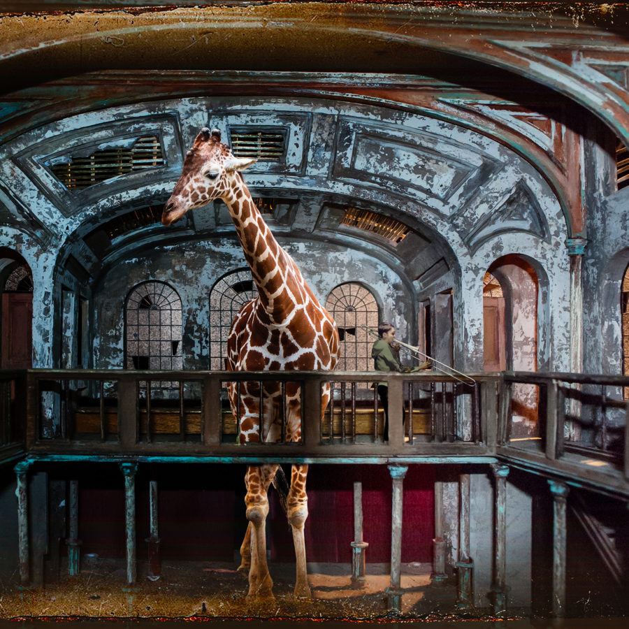 Fran Forman’s cinematic photocollages surprise and delight in their ...