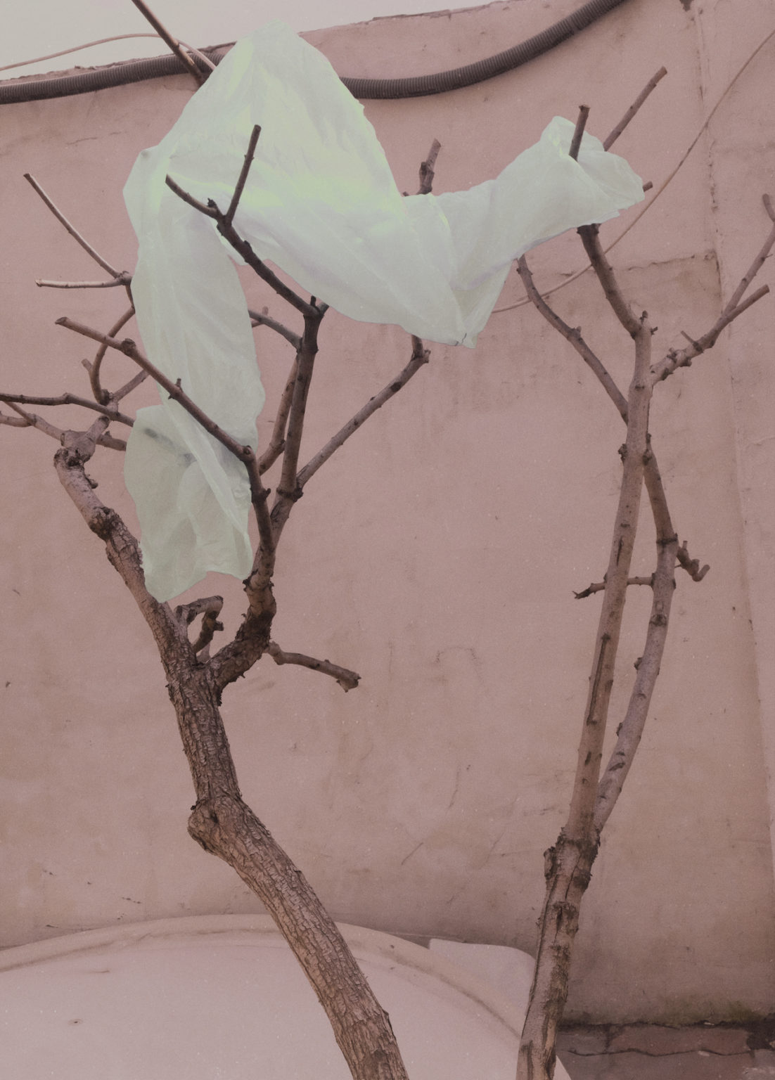 Ones to Watch 2021: Alex Blanco - 1854 Photography