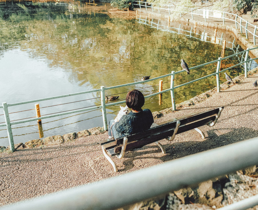 Ones to Watch: Kenji Chiga - 1854 Photography