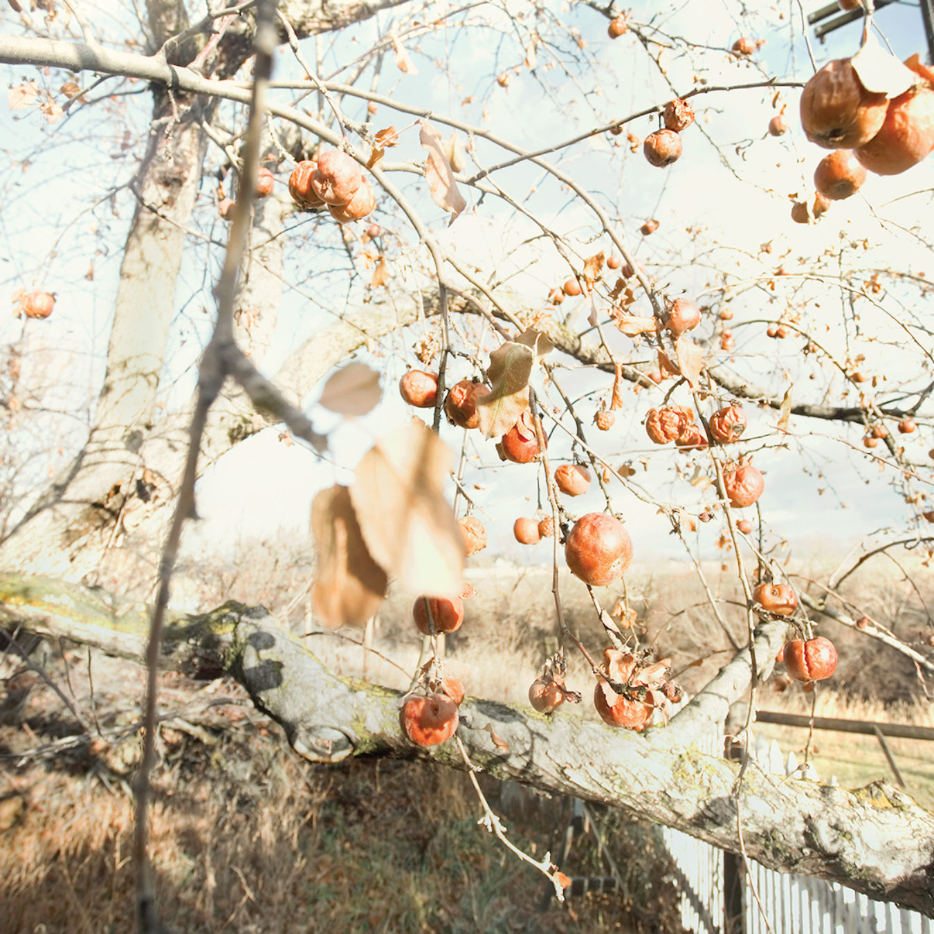 Raymond Meeks ruminates on the layered concept of ‘home’ - 1854 Photography