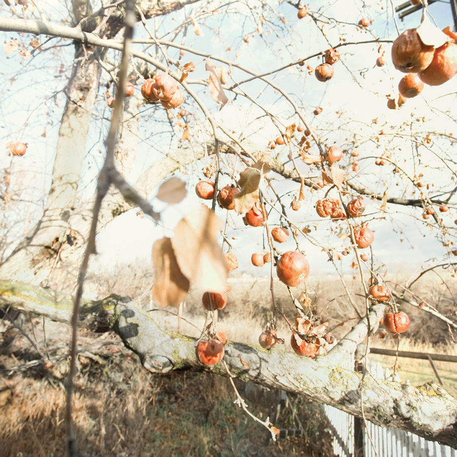 Raymond Meeks ruminates on the layered concept of ‘home’ - 1854 Photography