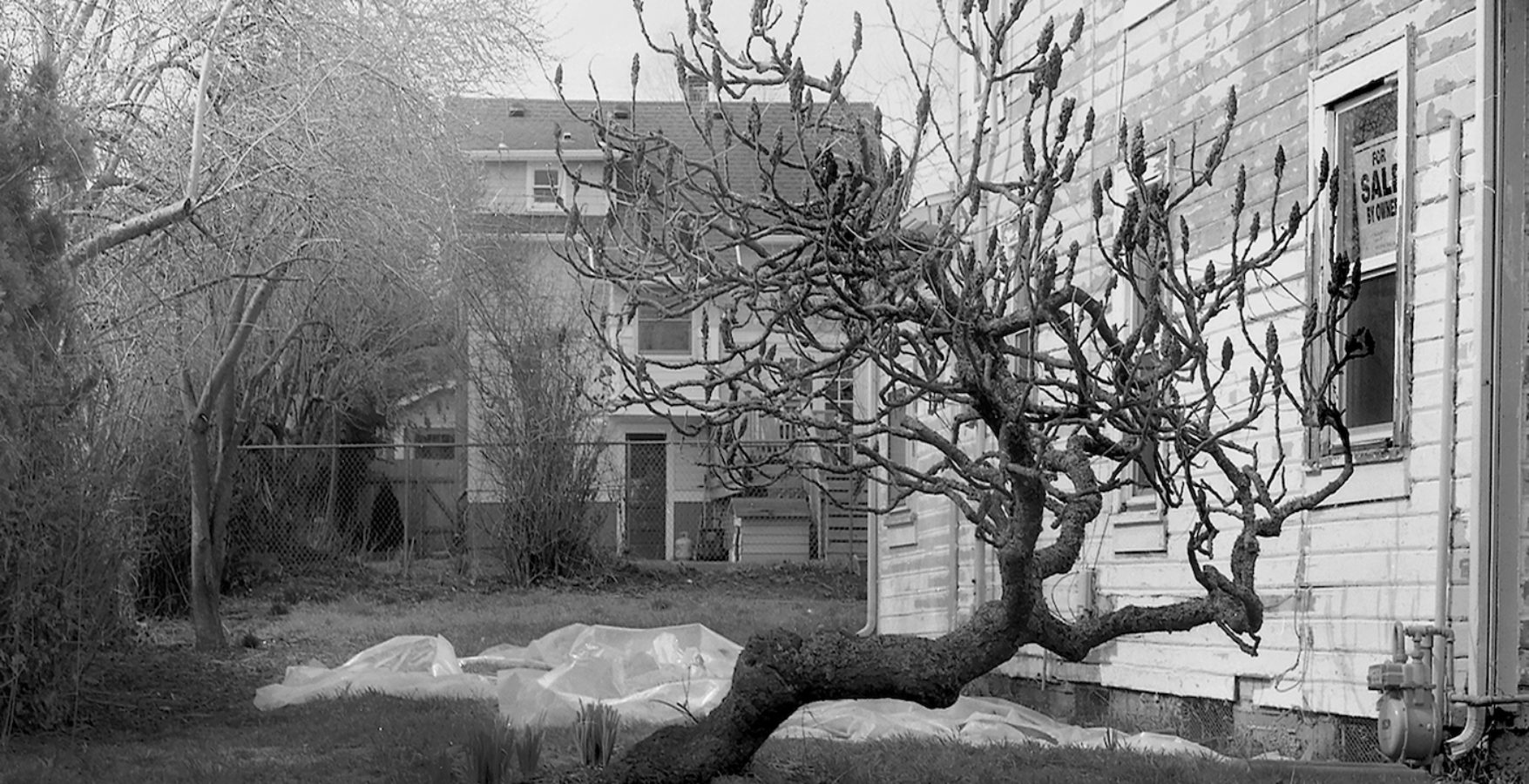 Raymond Meeks ruminates on the layered concept of ‘home’ - 1854 Photography