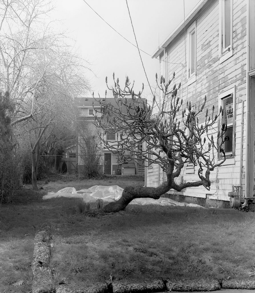 Raymond Meeks ruminates on the layered concept of ‘home’ - 1854 Photography