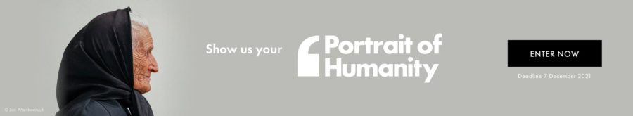 Ying Ang depicts her all-consuming transformation into motherhood ...