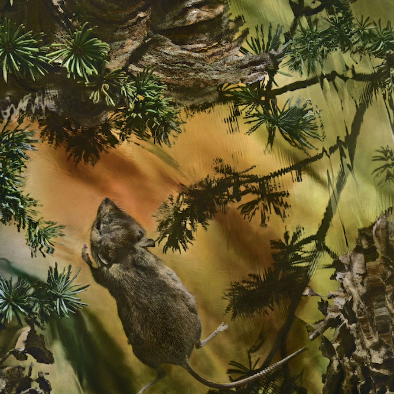 Introducing 1854’s Fast Track Vol. 2 winners: Jessica Ledwich, Susan ...